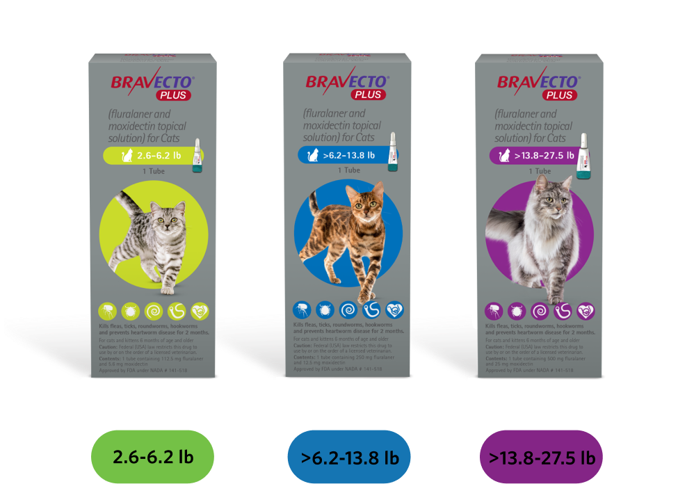 Bravecto Plus For Cats - us-bravecto-com