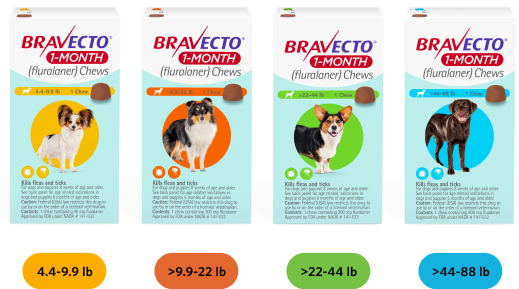 Bravecto for Puppies - us-bravecto-com