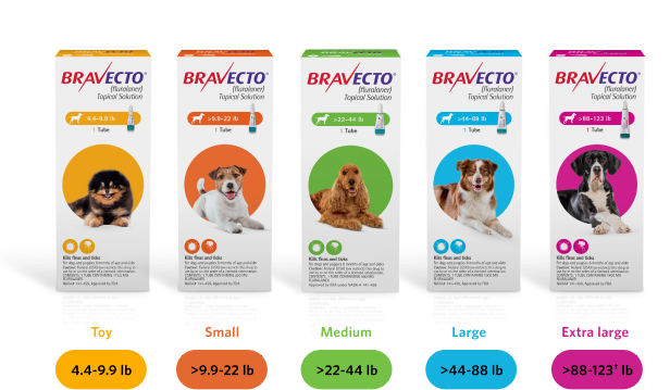 Bravecto For Dogs - us-bravecto-com