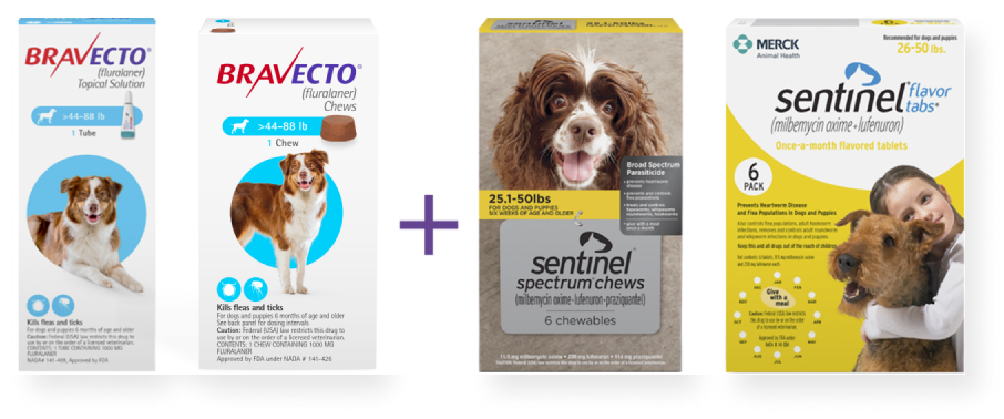 Rebates for BRAVECTO® and SENTINEL® | us-bravecto-com