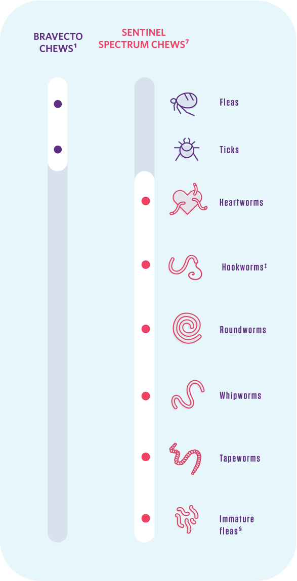 Bravecto For Dogs - us-bravecto-com