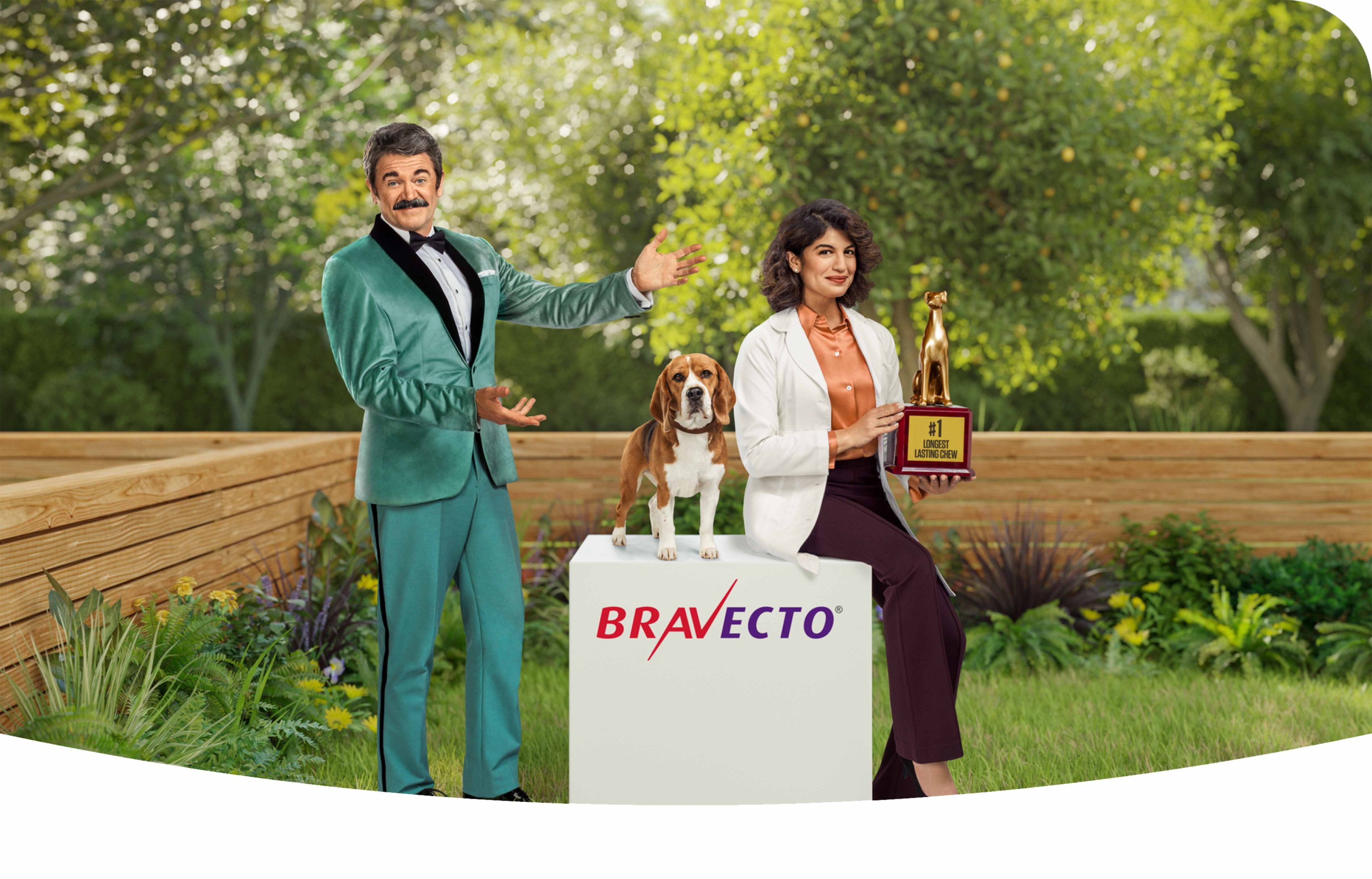 Home - us-bravecto-com