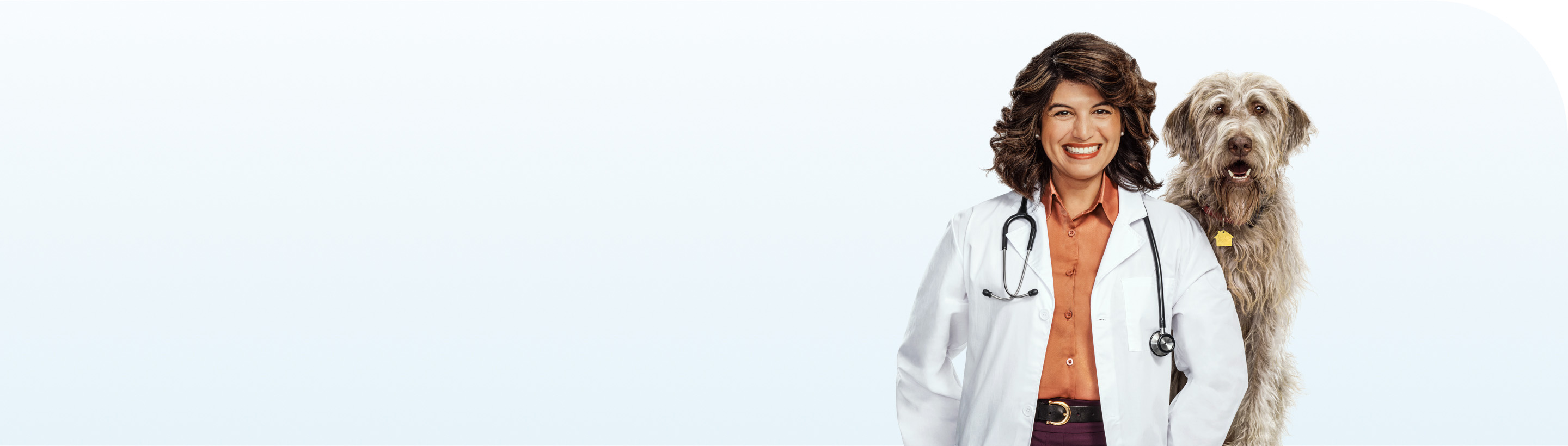 Get Bravecto - us-bravecto-com