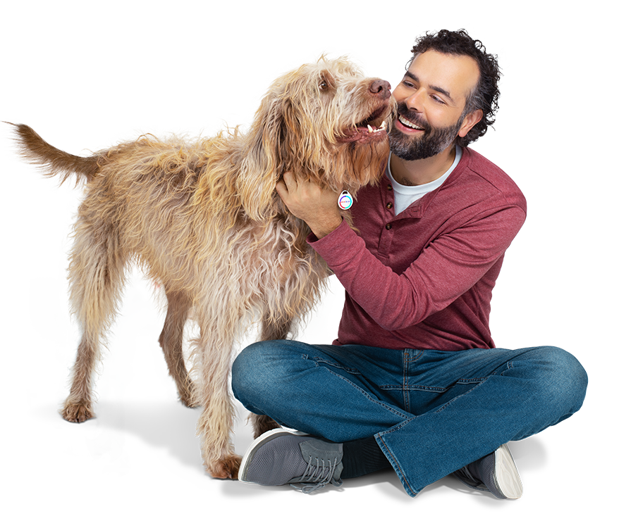 Rebates for BRAVECTO® and SENTINEL® | us-bravecto-com