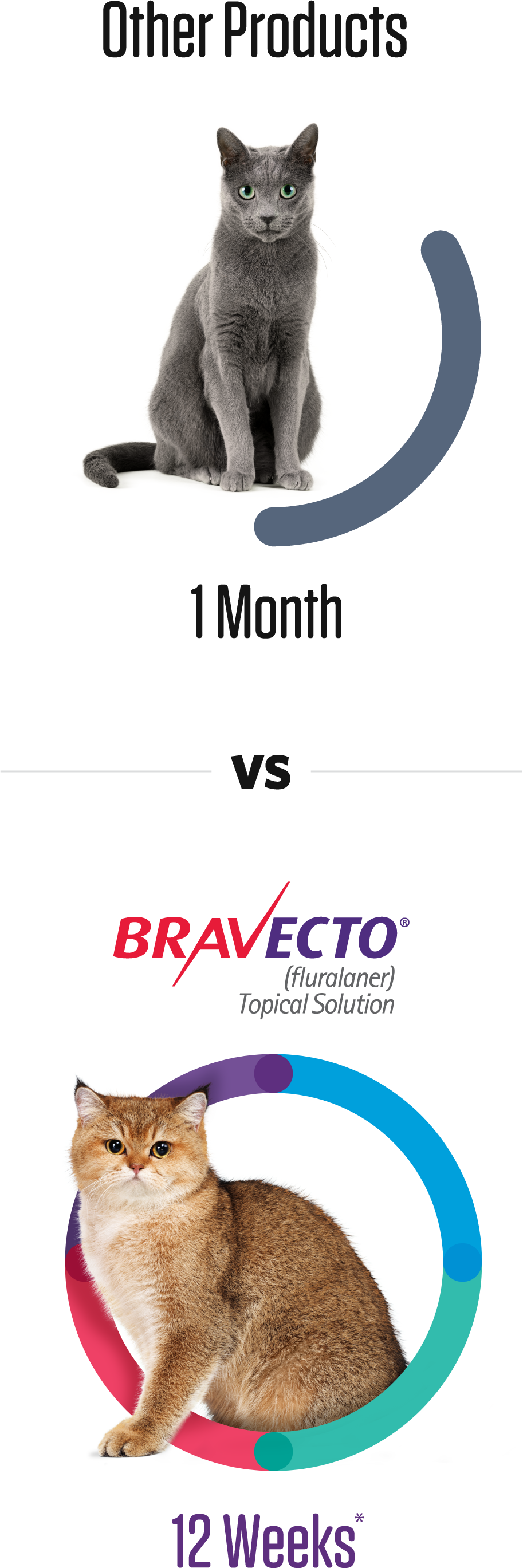 Bravecto for Cats - us-bravecto-com