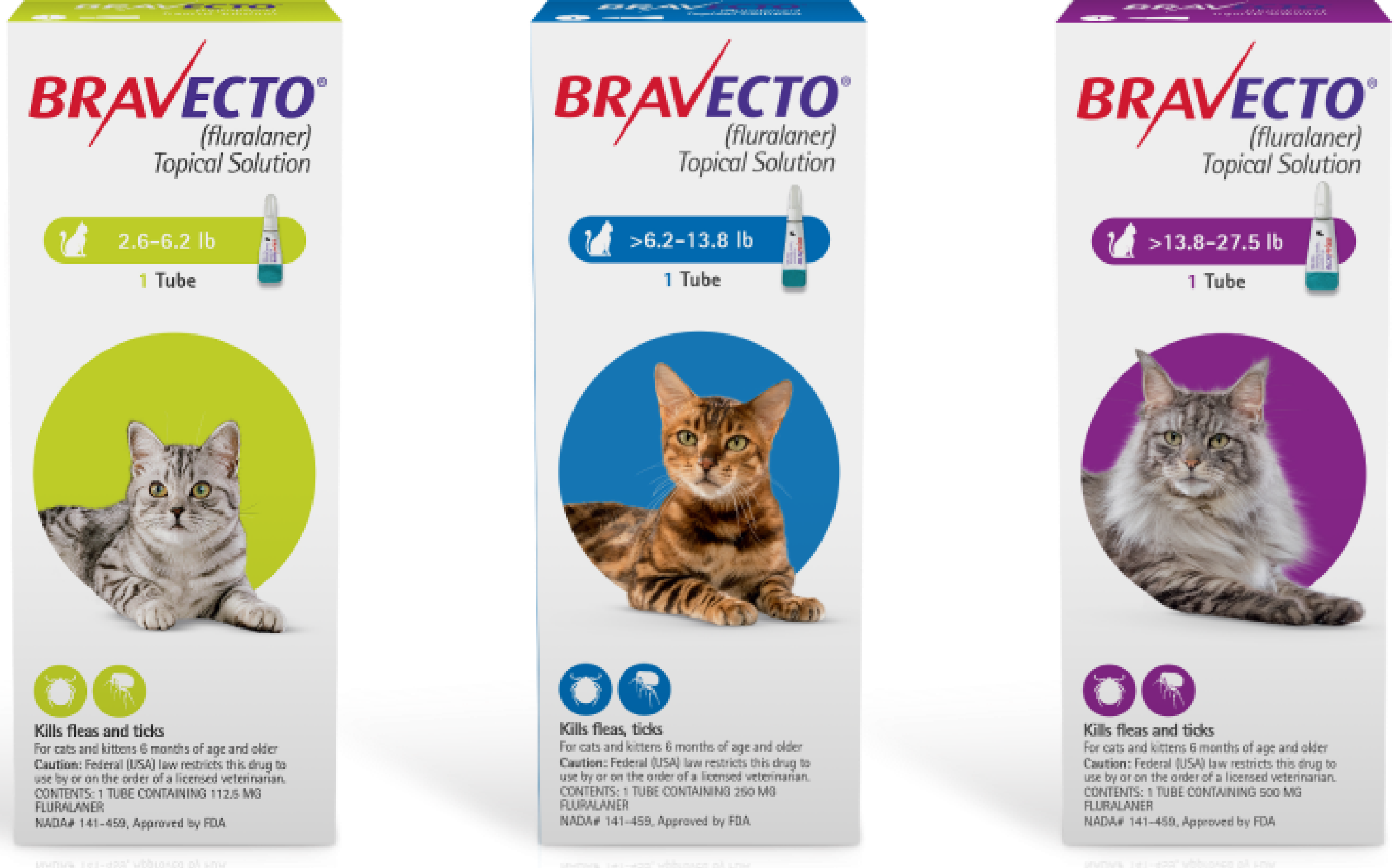 Bravecto for Cats - us-bravecto-com