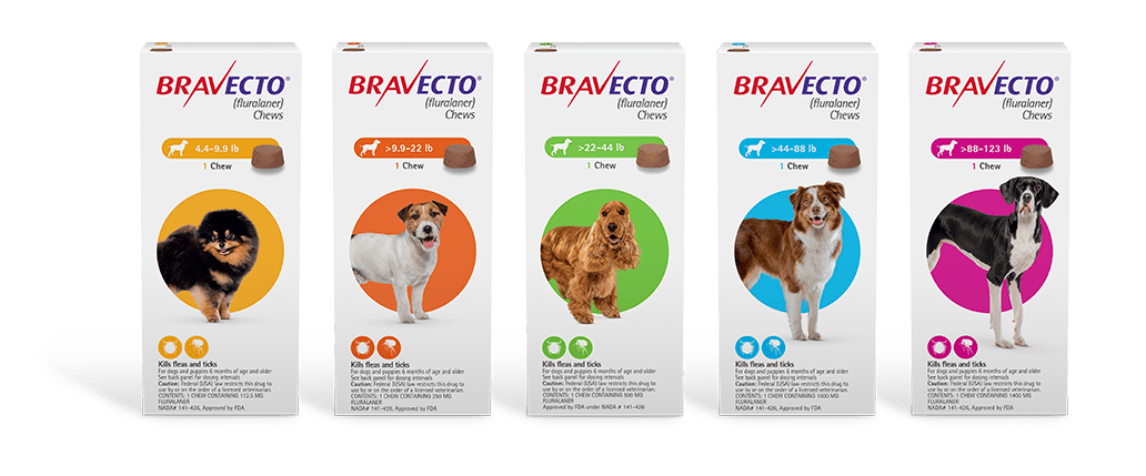Home - us-bravecto-com