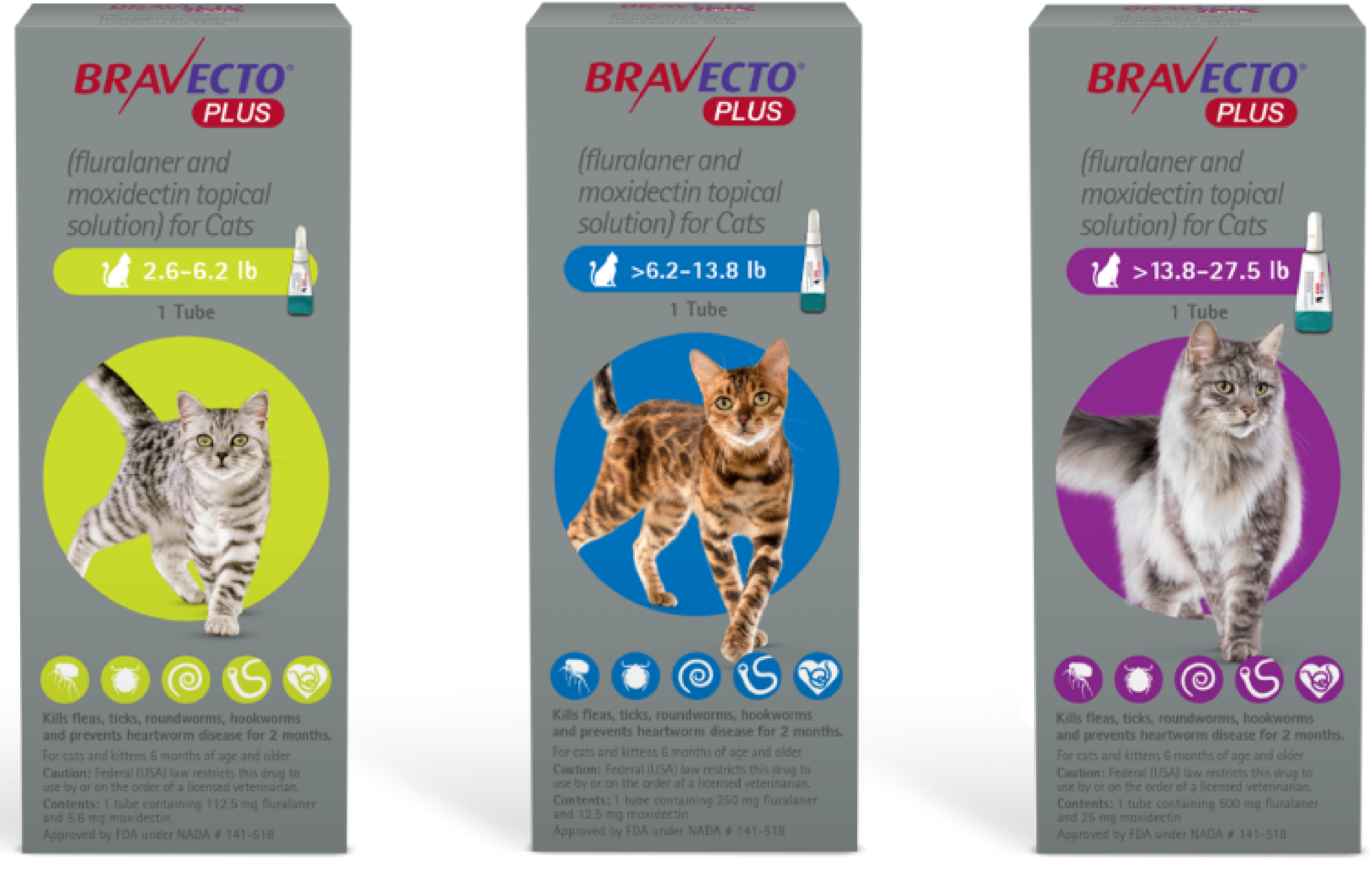 Bravecto for Cats - us-bravecto-com