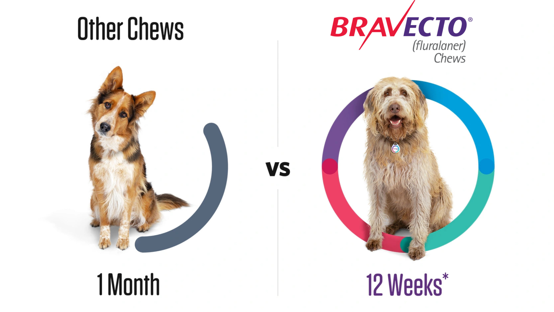 Bravecto Chews for Dogs - us-bravecto-com