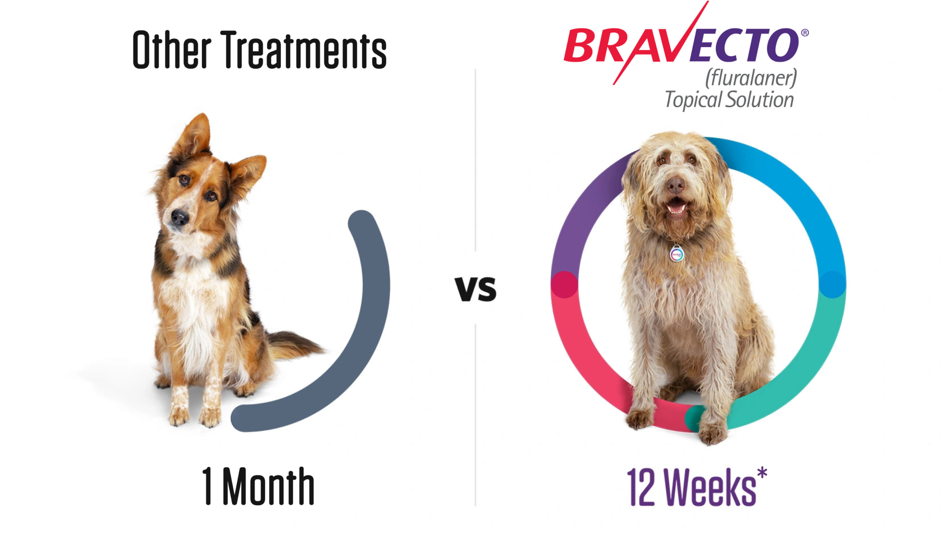 Bravecto Topical for Dogs - us-bravecto-com
