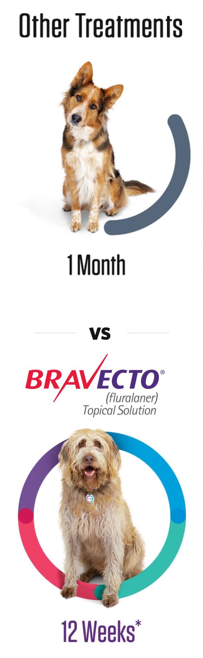 Bravecto Topical for Dogs - us-bravecto-com