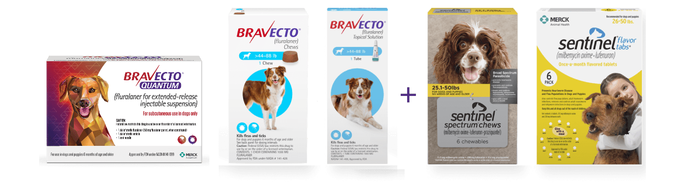 Rebates for BRAVECTO® and SENTINEL® | us-bravecto-com