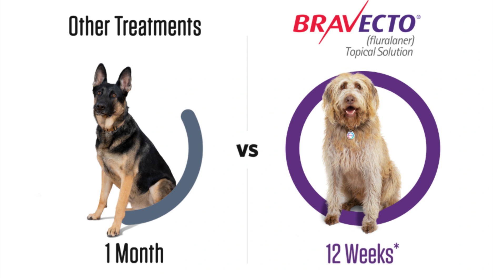 Bravecto Topical for Dogs - us-bravecto-com
